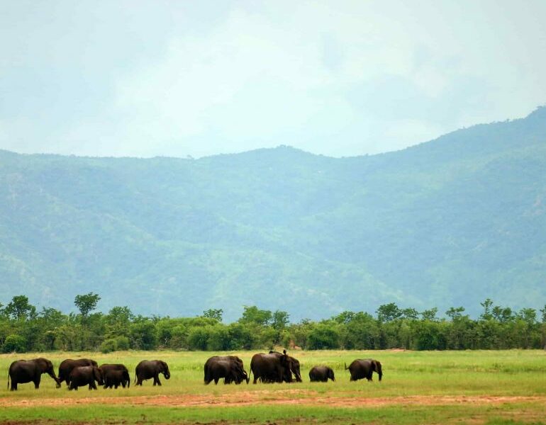 Victoria Falls/Kariba - Victoria Falls Holidays